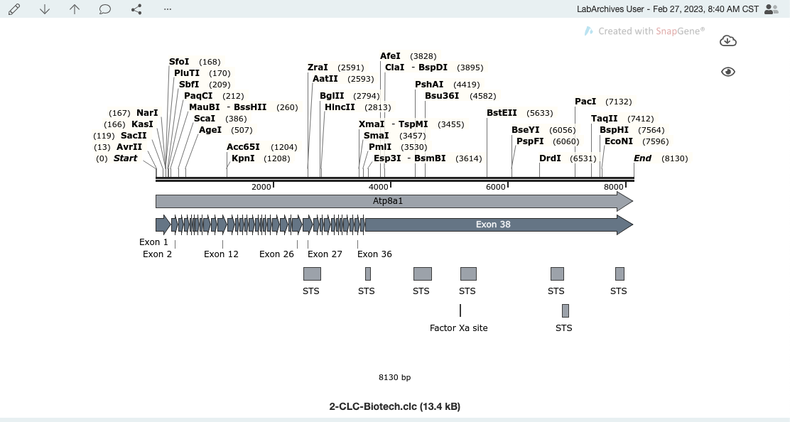 SnapGene Integration – LabArchives Gov