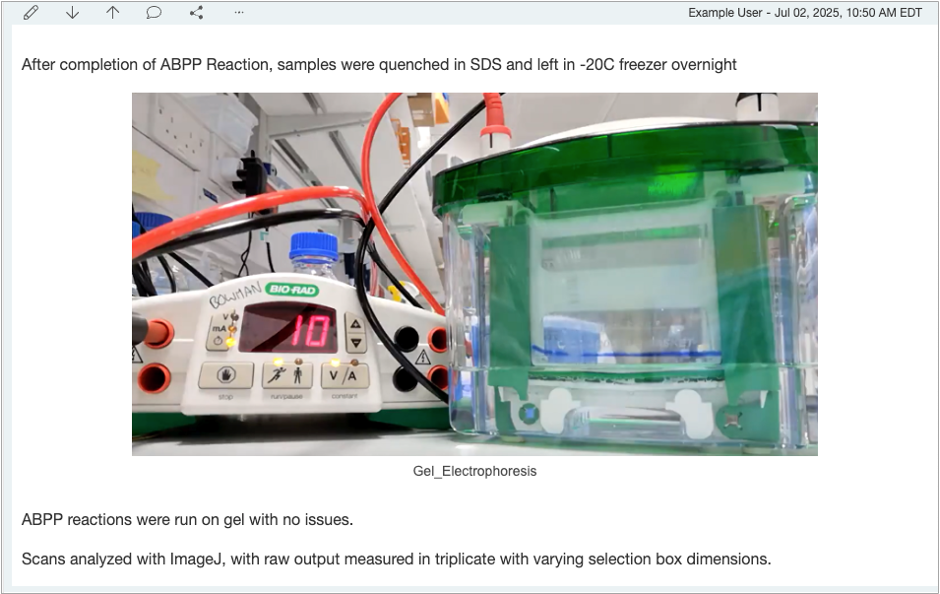 Rich Text Editor – LabArchives Gov